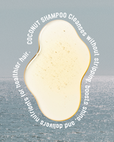 Classic Clean Shampoo